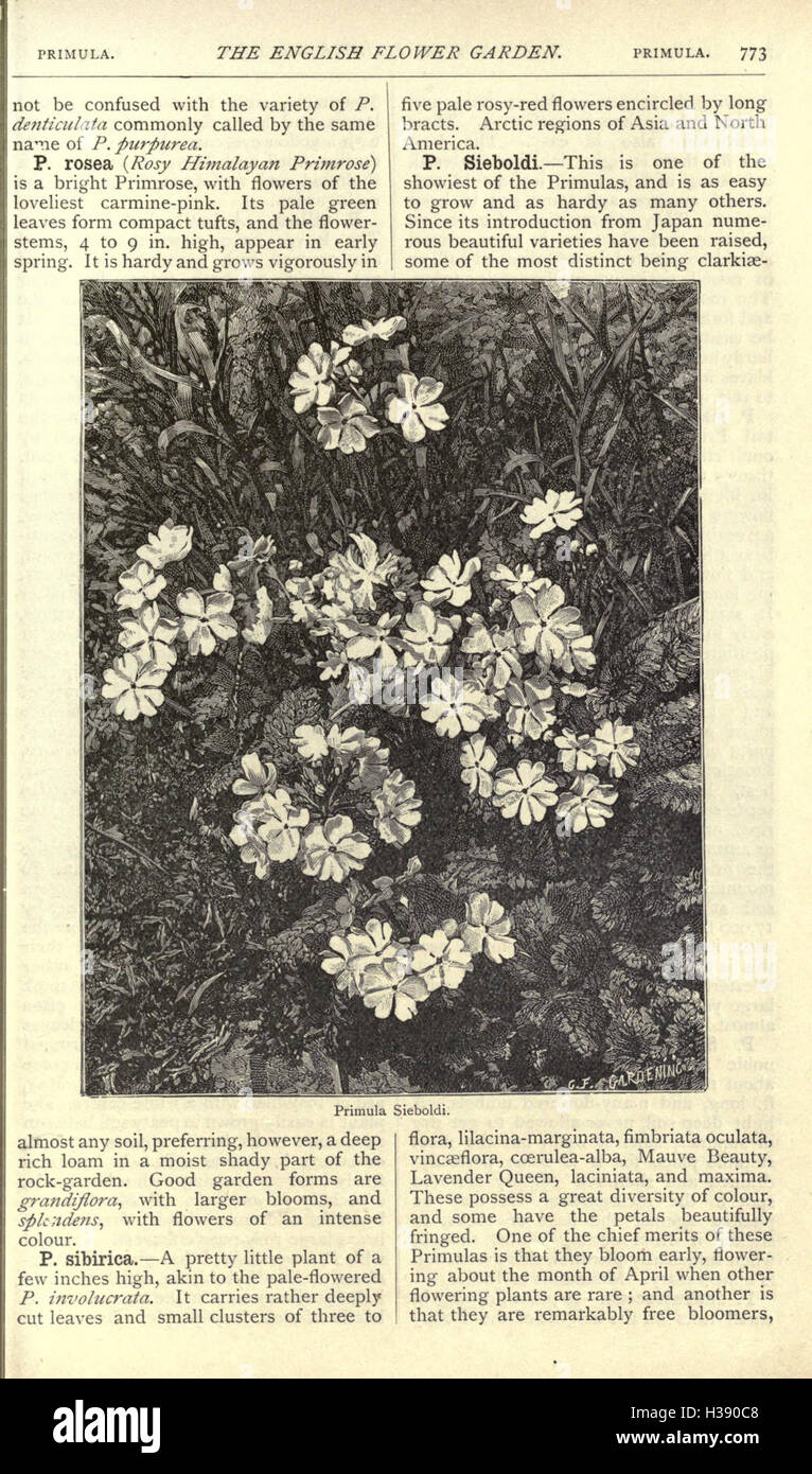 A comprehensive guide to the planning and design of English flower ...