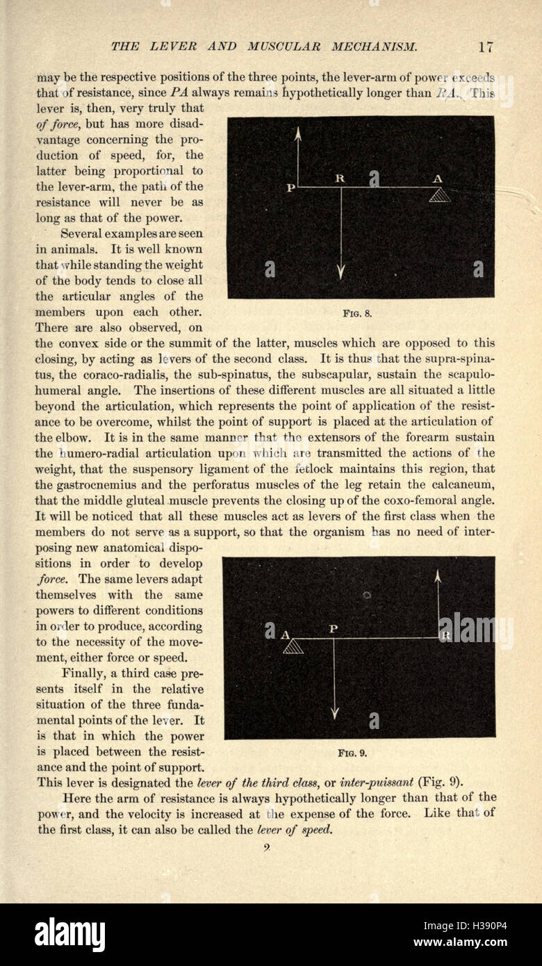 Detailed examination anatomical features hi-res stock photography and ...