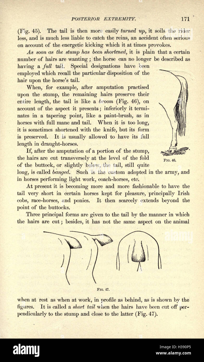 This section provides a detailed description of the external features ...