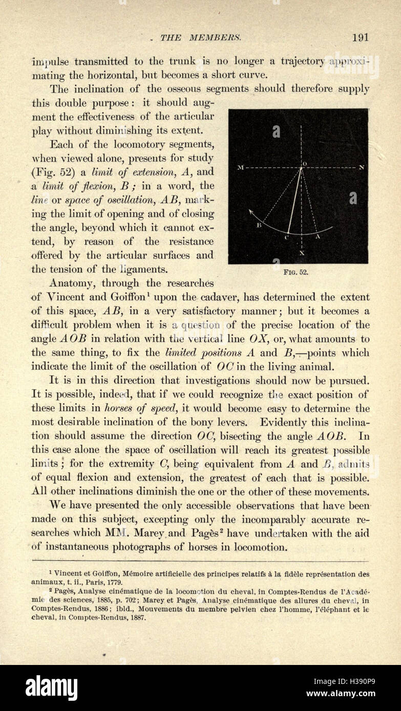 The exterior of the horse (Page 191) BHL218 Stock Photo - Alamy