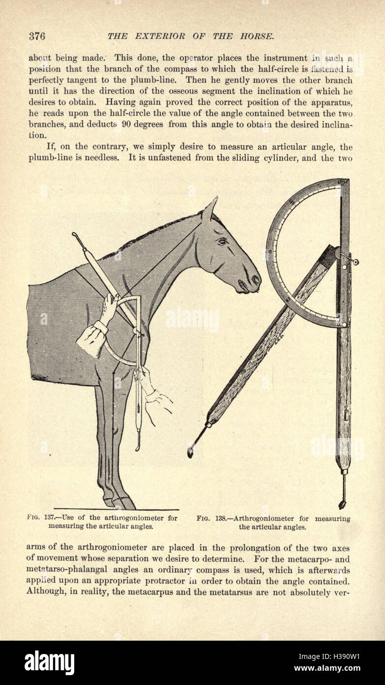 This book examines the physical characteristics and external features ...