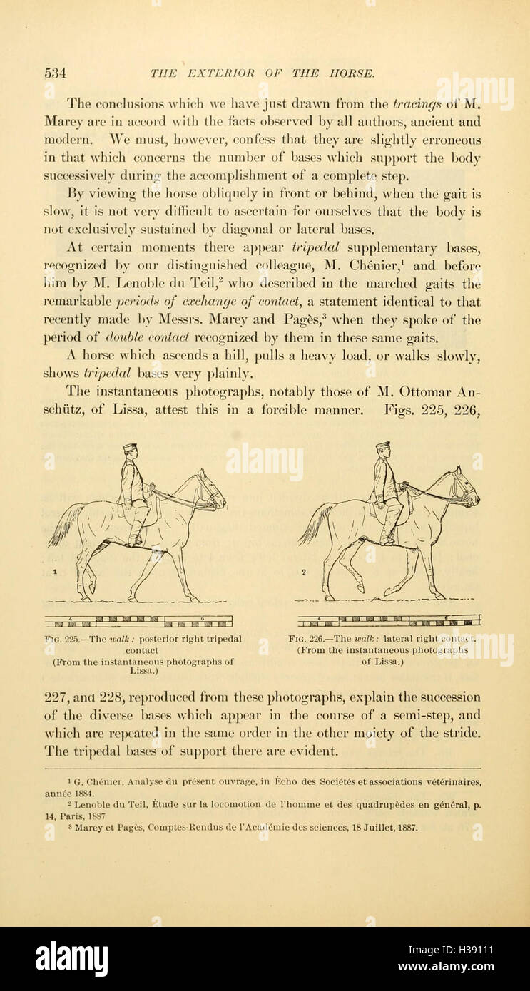This work details the external physical characteristics of the horse ...