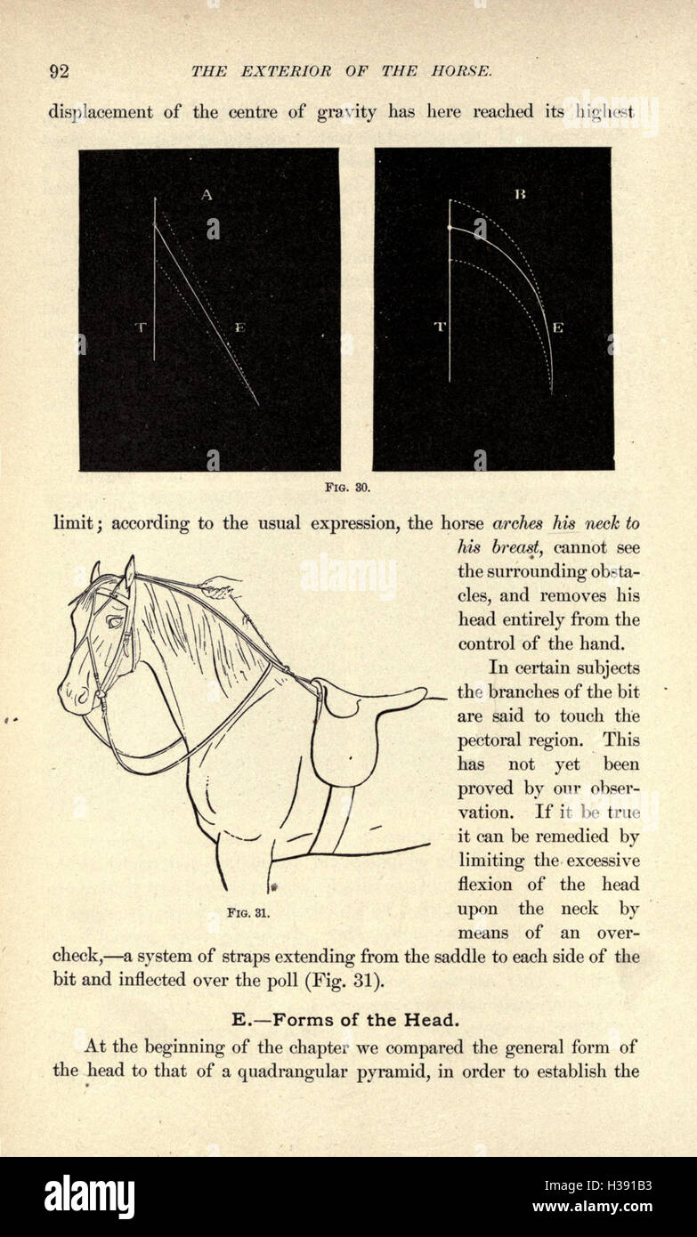 This work examines the external features of the horse, focusing on its ...