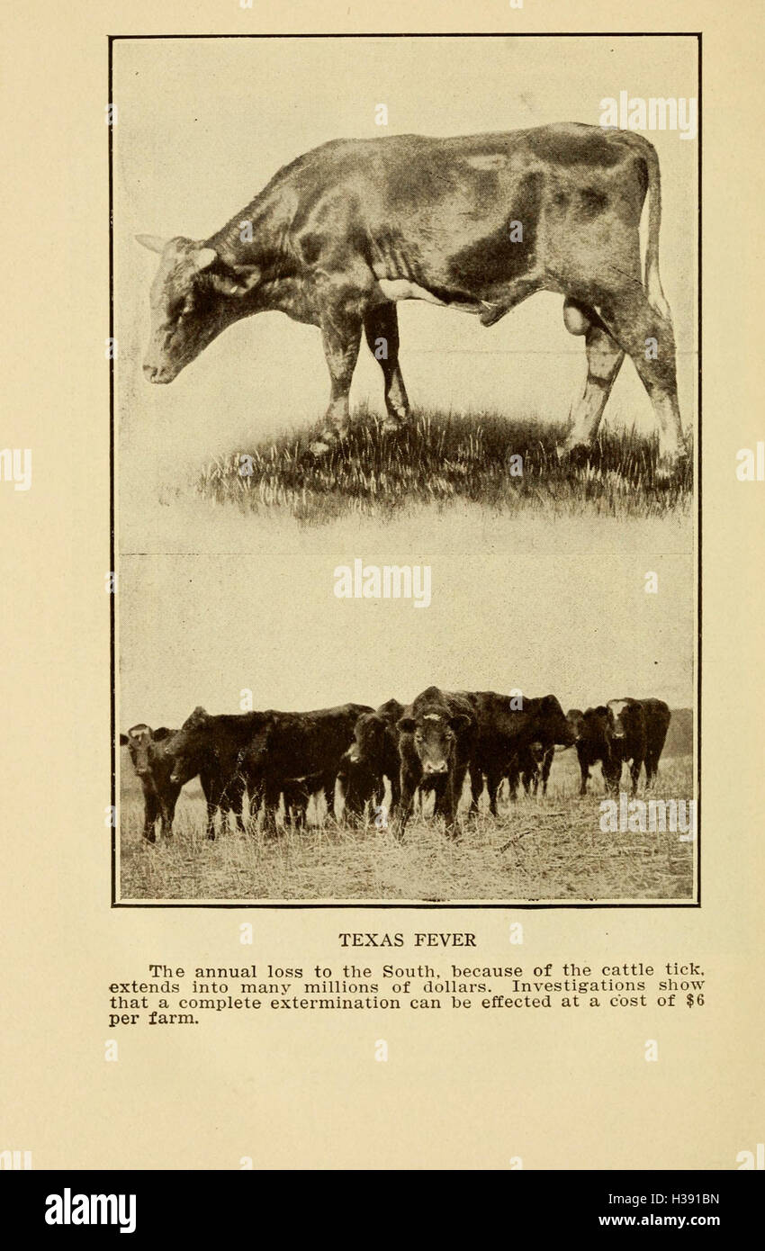 This work provides guidance on veterinary care for farm animals ...