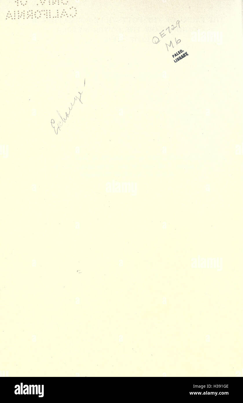 This study examines the fossil fauna found in the Pottsville formation ...