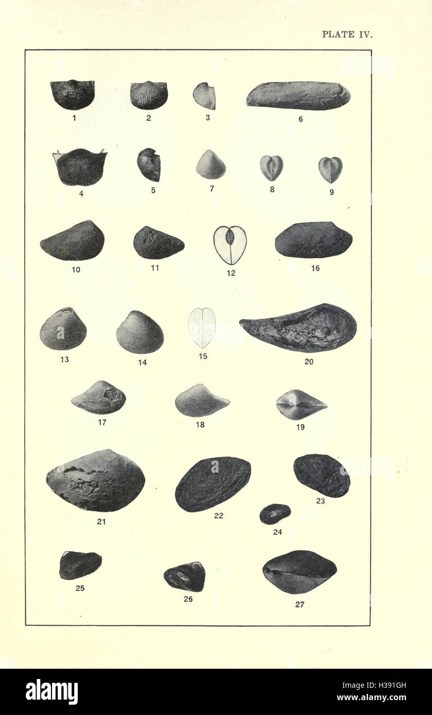 This study explores the fauna of the Pottsville formation in Ohio ...