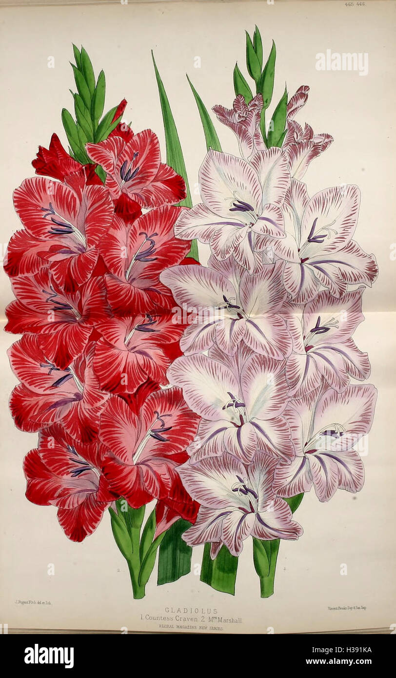 This work offers detailed illustrations and descriptions of various ...