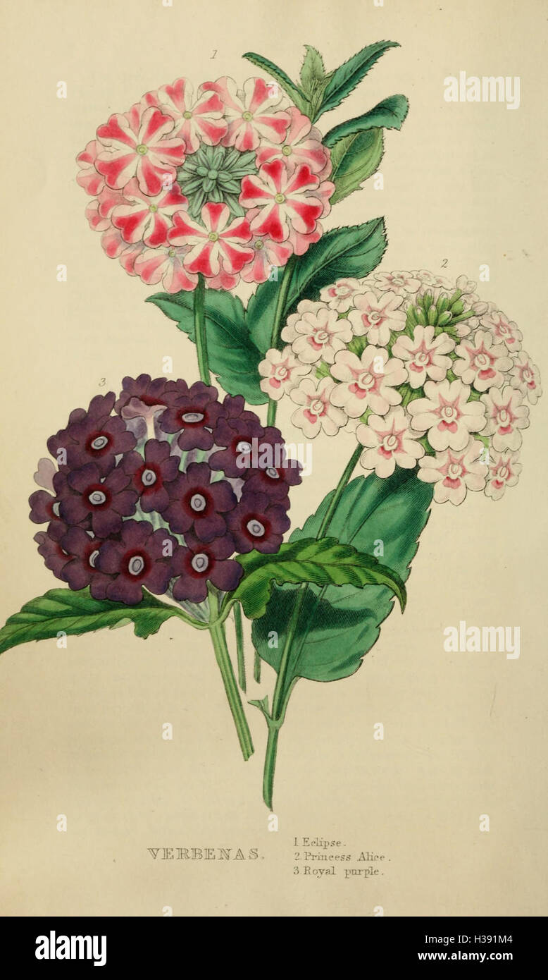 This page includes various floral and gardening topics, offering advice ...