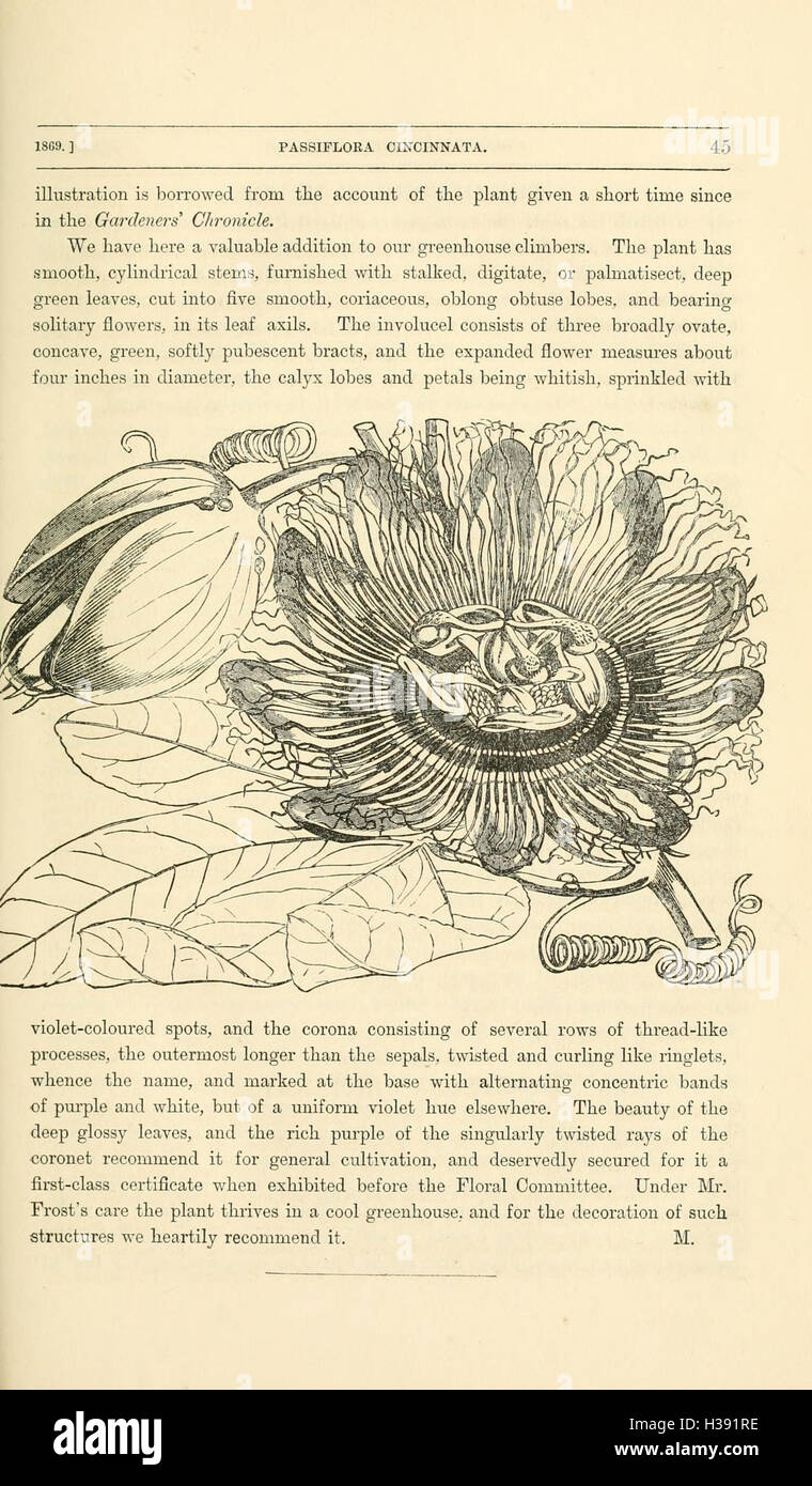 A guide dedicated to floriculture and pomology, focusing on the ...
