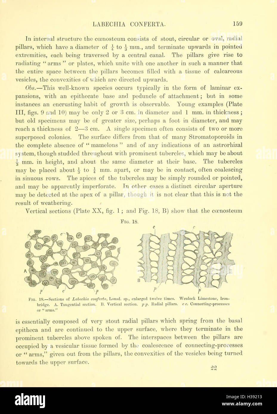 This monograph provides a detailed study of British stromatoporoids, an ...