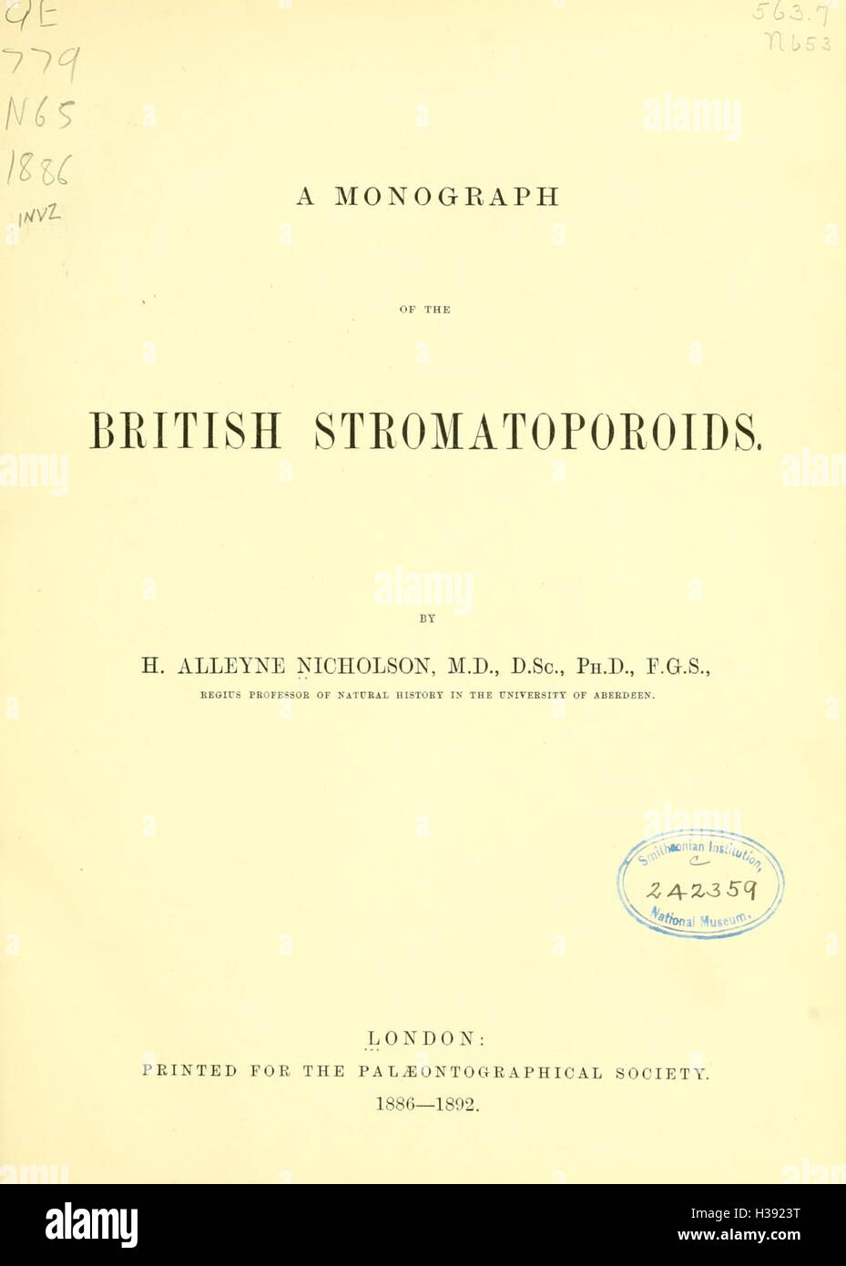 Stromatoporoids hi-res stock photography and images - Alamy
