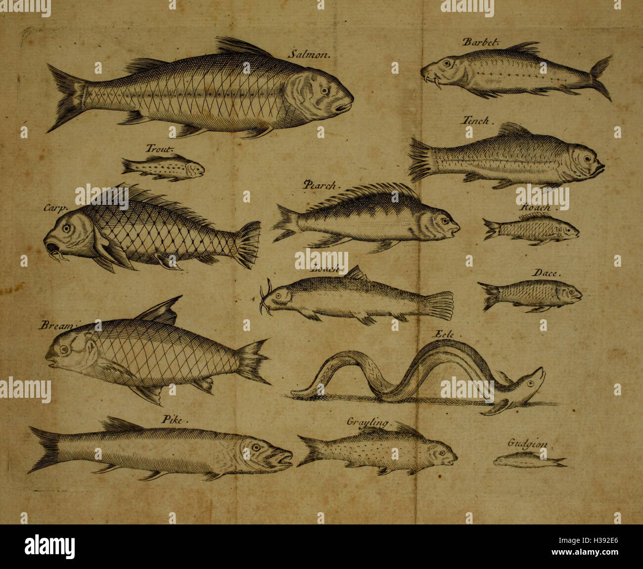 This guide focuses on the traditional outdoor activities enjoyed by ...