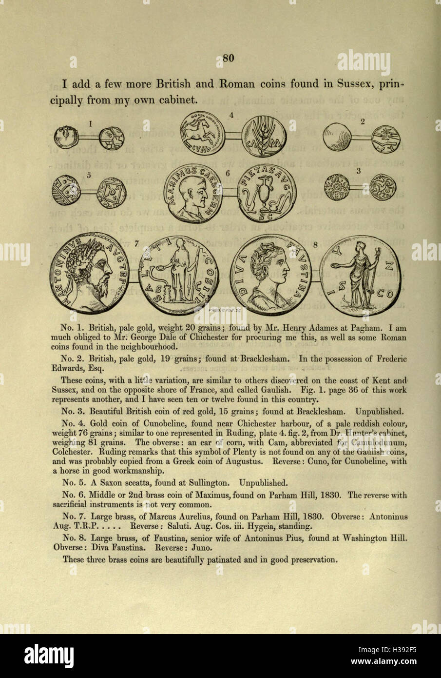 This study provides an overview of the Tertiary and Cretaceous ...