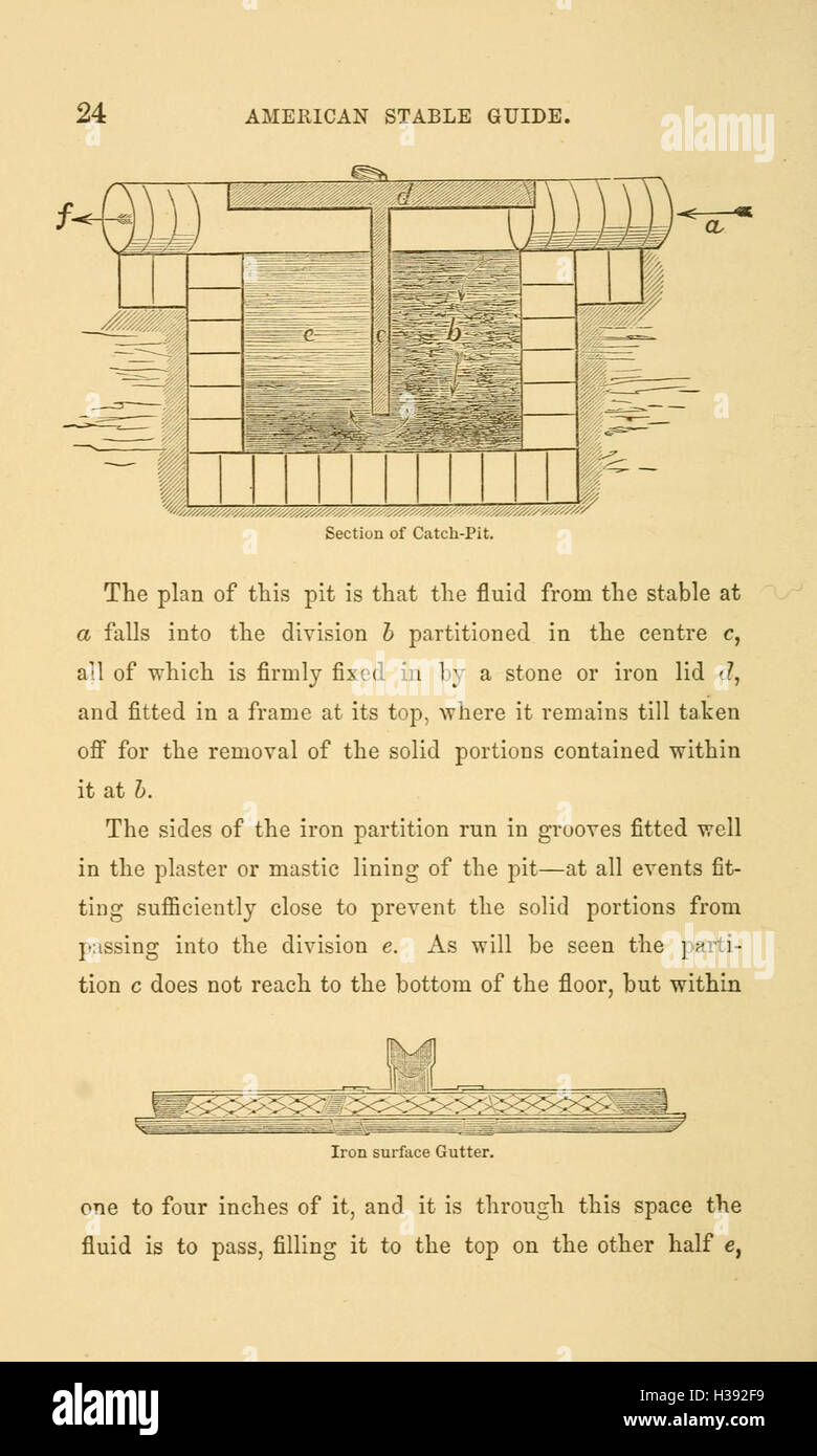 This guide provides practical advice for maintaining a gentleman’s ...