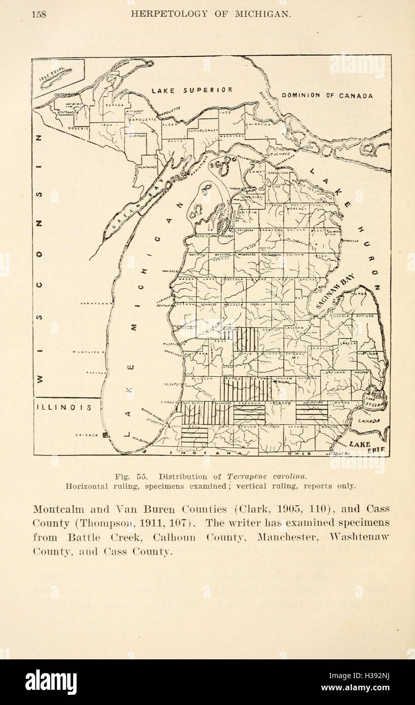 This work details the herpetological species of Michigan, focusing on ...