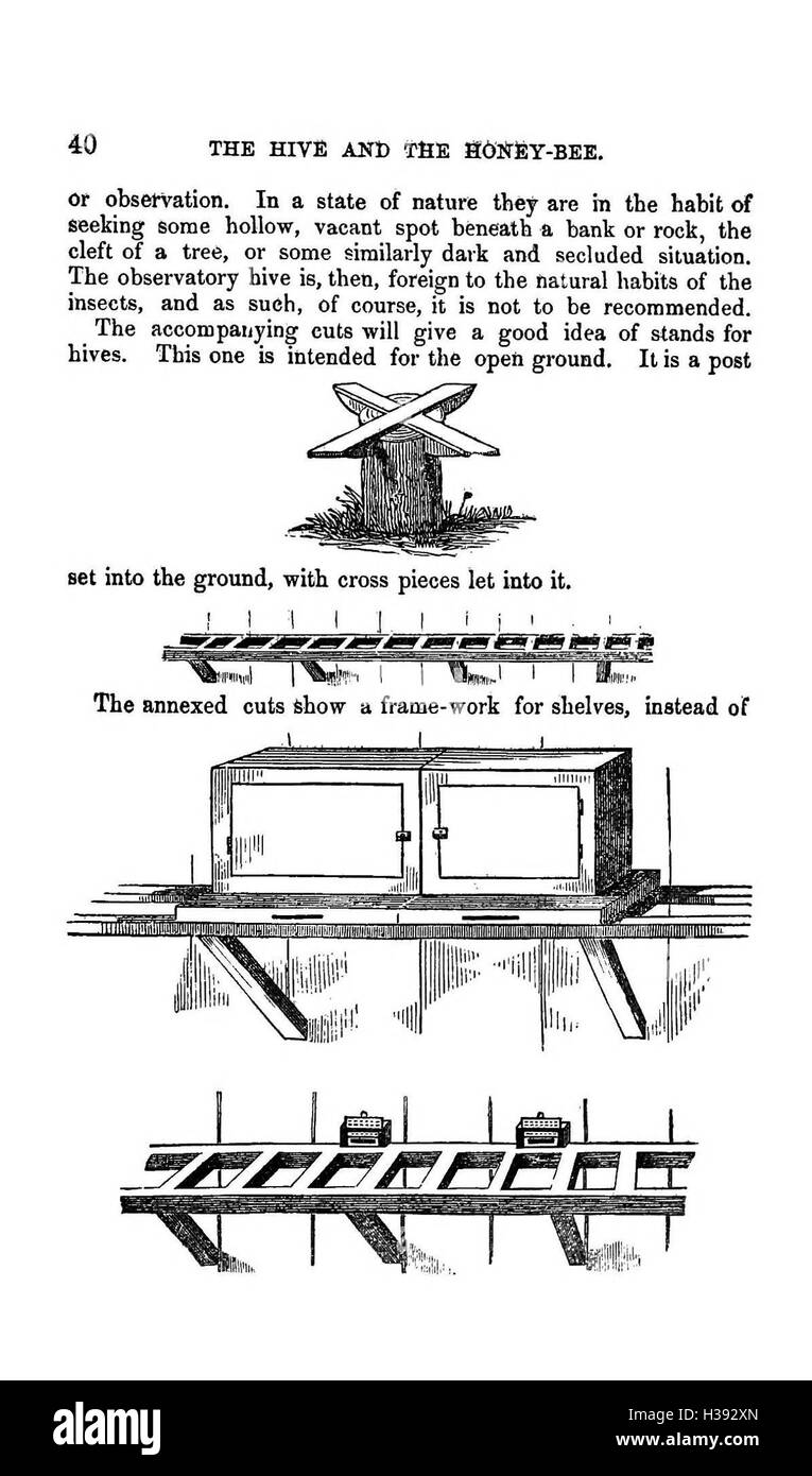 This text explores the structure of a bee hive, the behavior of honey ...