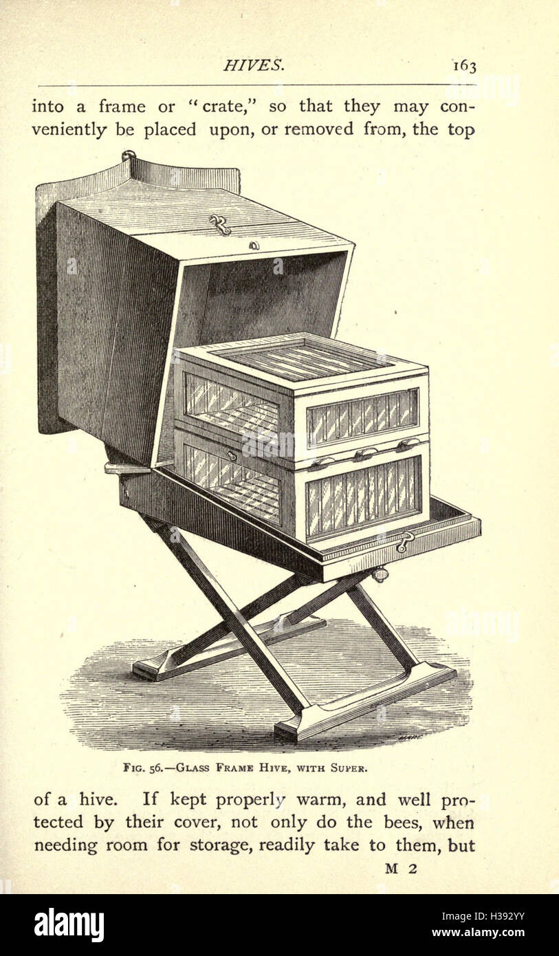 This book focuses on the life cycle and behavior of the honey bee ...