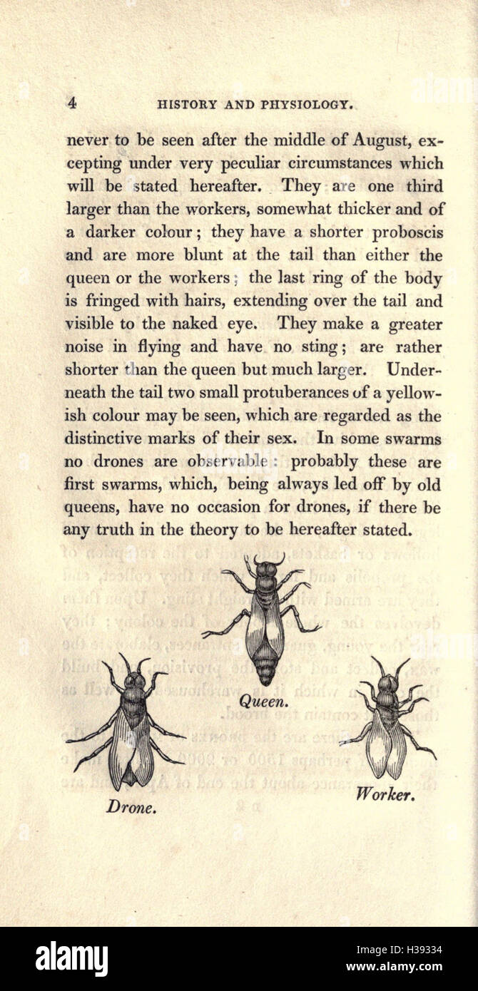 This document provides a detailed overview of the biology and behavior ...