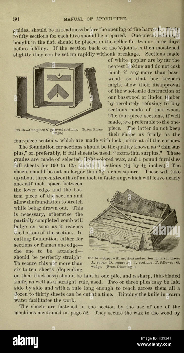 This page provides an overview of the honey bee, focusing on its ...