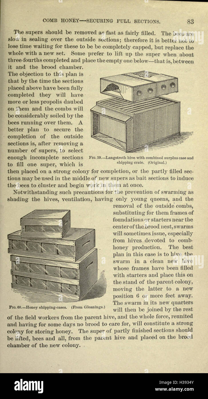 This page presents the biology and behavior of the honey bee, with ...