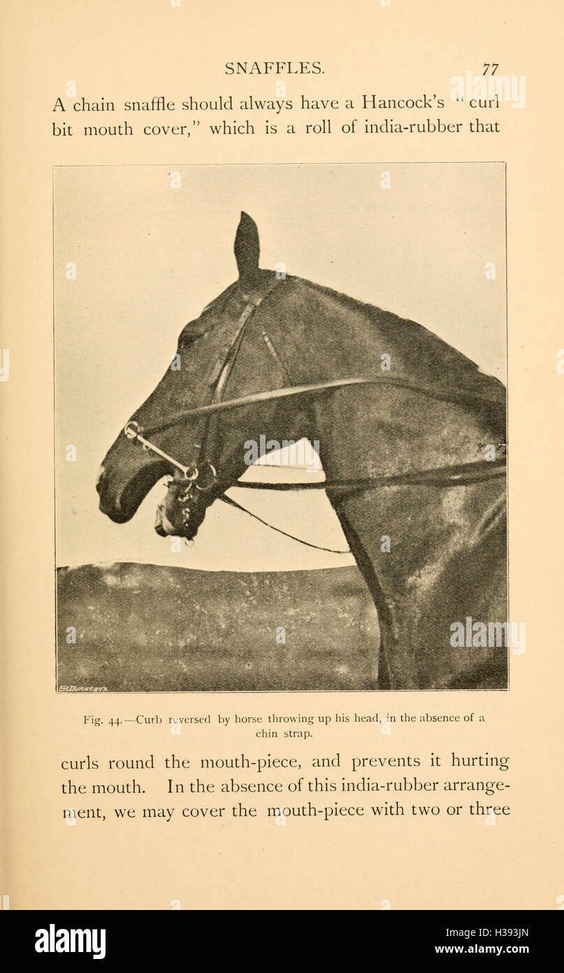 This work highlights the role and responsibilities of women in horse ...