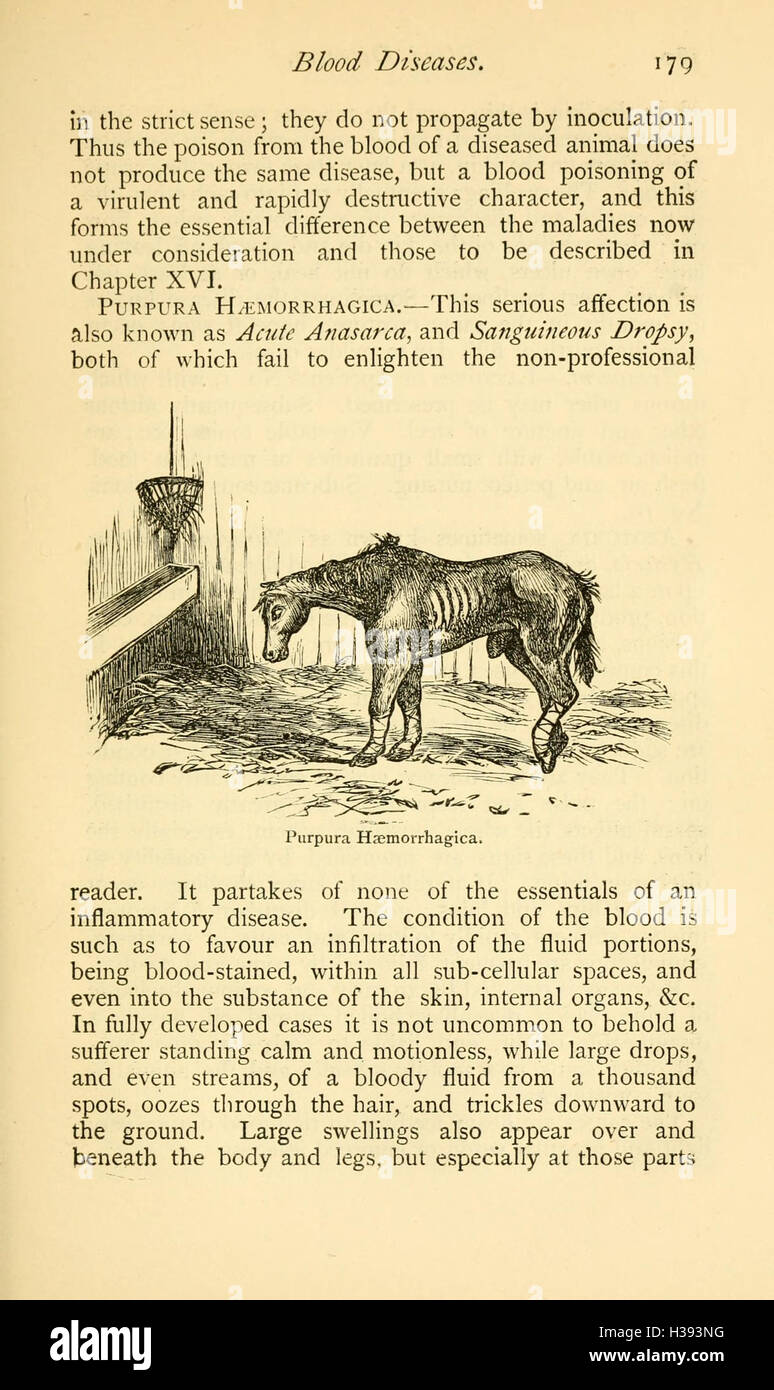 This text offers an in-depth look at the anatomy, behavior, and care of ...