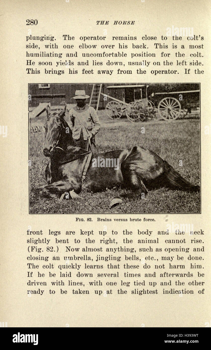This text examines the horse, focusing on its anatomy, behavior, and ...