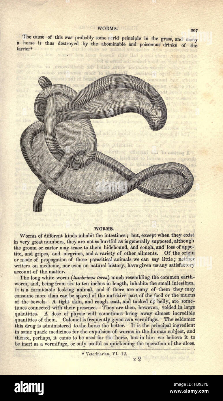 This page provides a detailed look at the anatomy, evolution, and ...