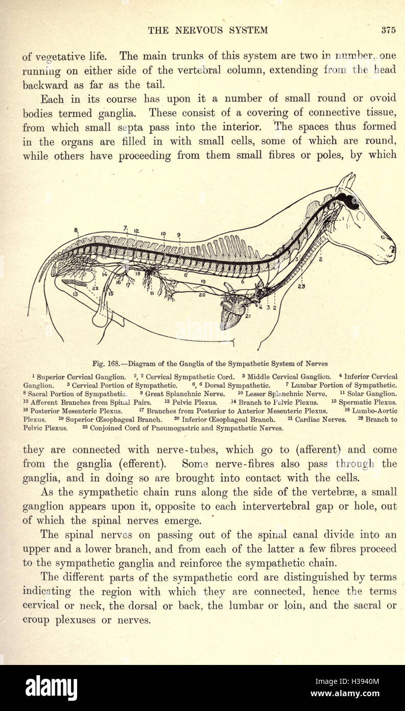 This text explores the history, biology, and cultural significance of ...