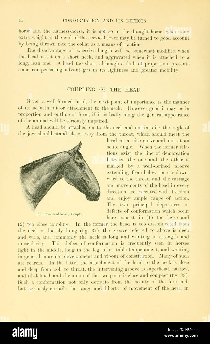 This work provides a detailed exploration of the horse, its ...