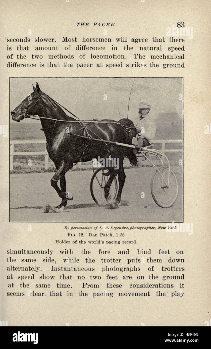 This page provides a general overview of the horse, its anatomical ...