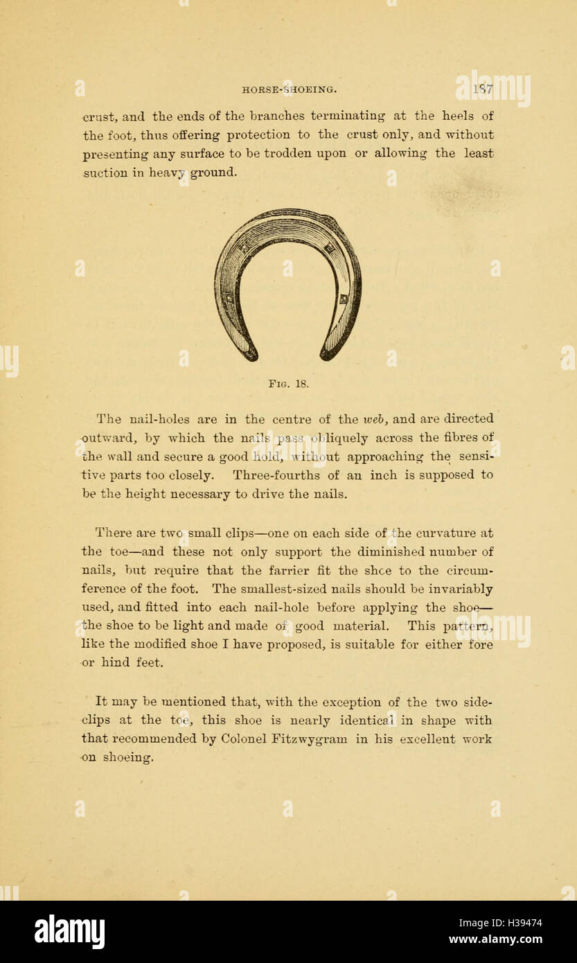 This page compares the characteristics, behavior, and roles of horses ...