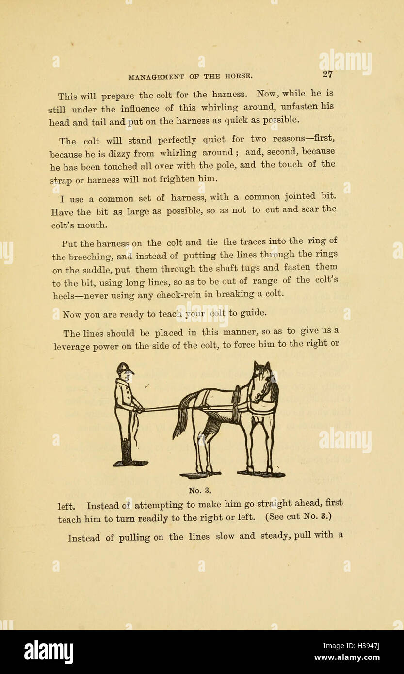 This work compares the horse and dog, examining their evolution ...
