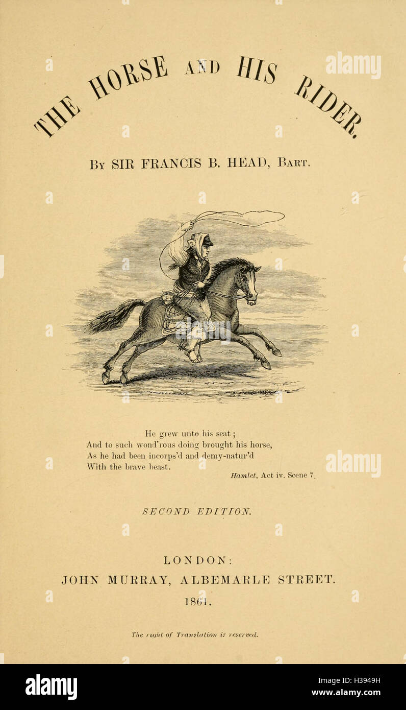 This work discusses the relationship between horses and riders ...