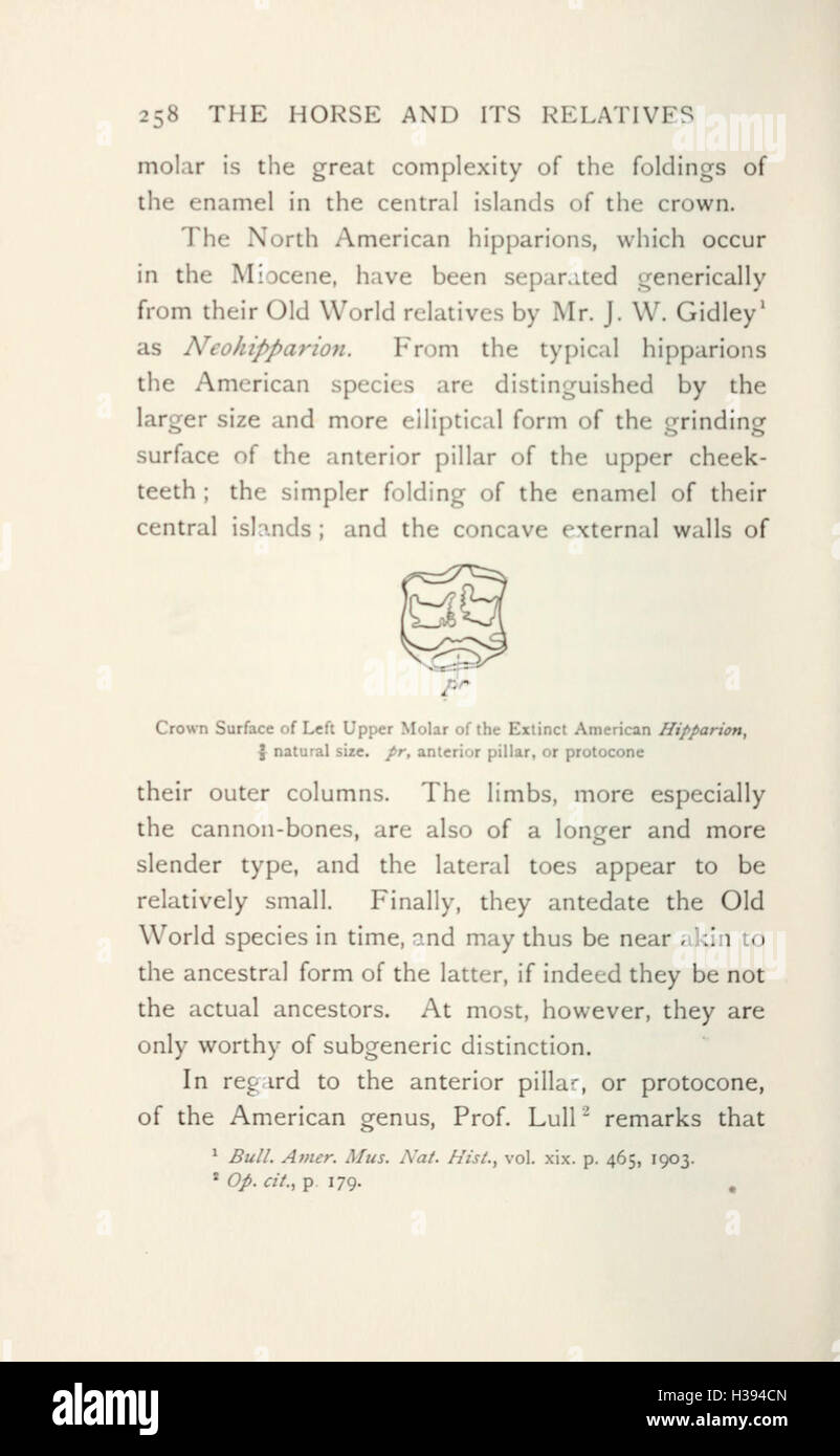 This book covers the evolution and classification of horses and their ...