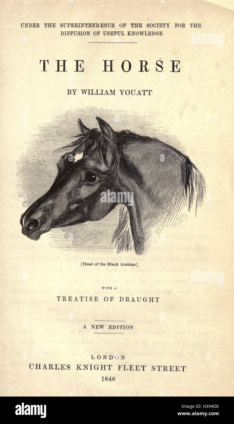 This page provides an overview of the horse, discussing its ...