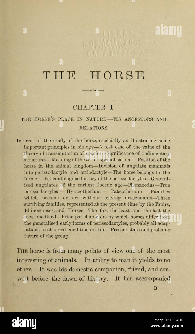 This text discusses the domestication, history, and breeding of horses ...
