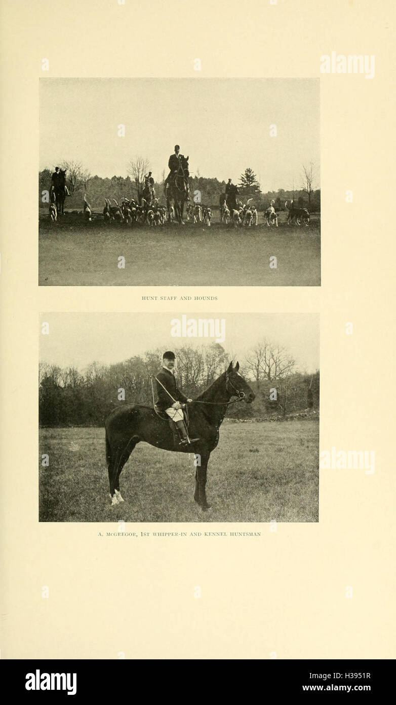 This work provides a comprehensive overview of hunting practices across ...