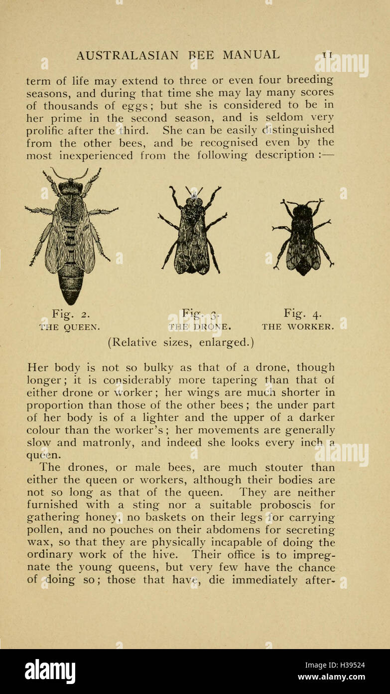 This illustrated manual provides a comprehensive guide to modern ...