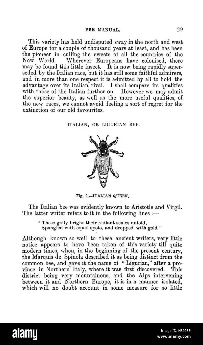 This manual provides a comprehensive guide to bee culture in the ...