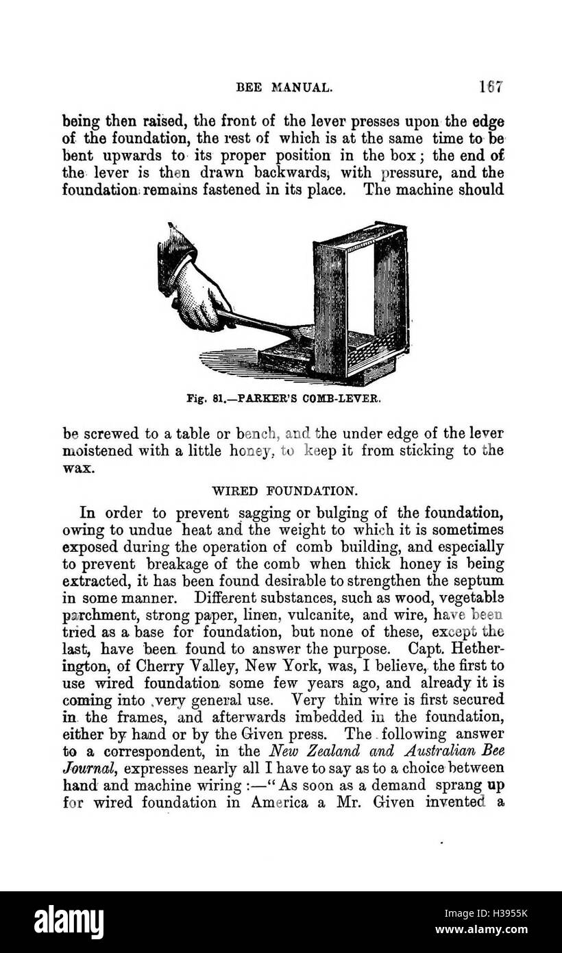 This guide provides comprehensive information on bee species ...