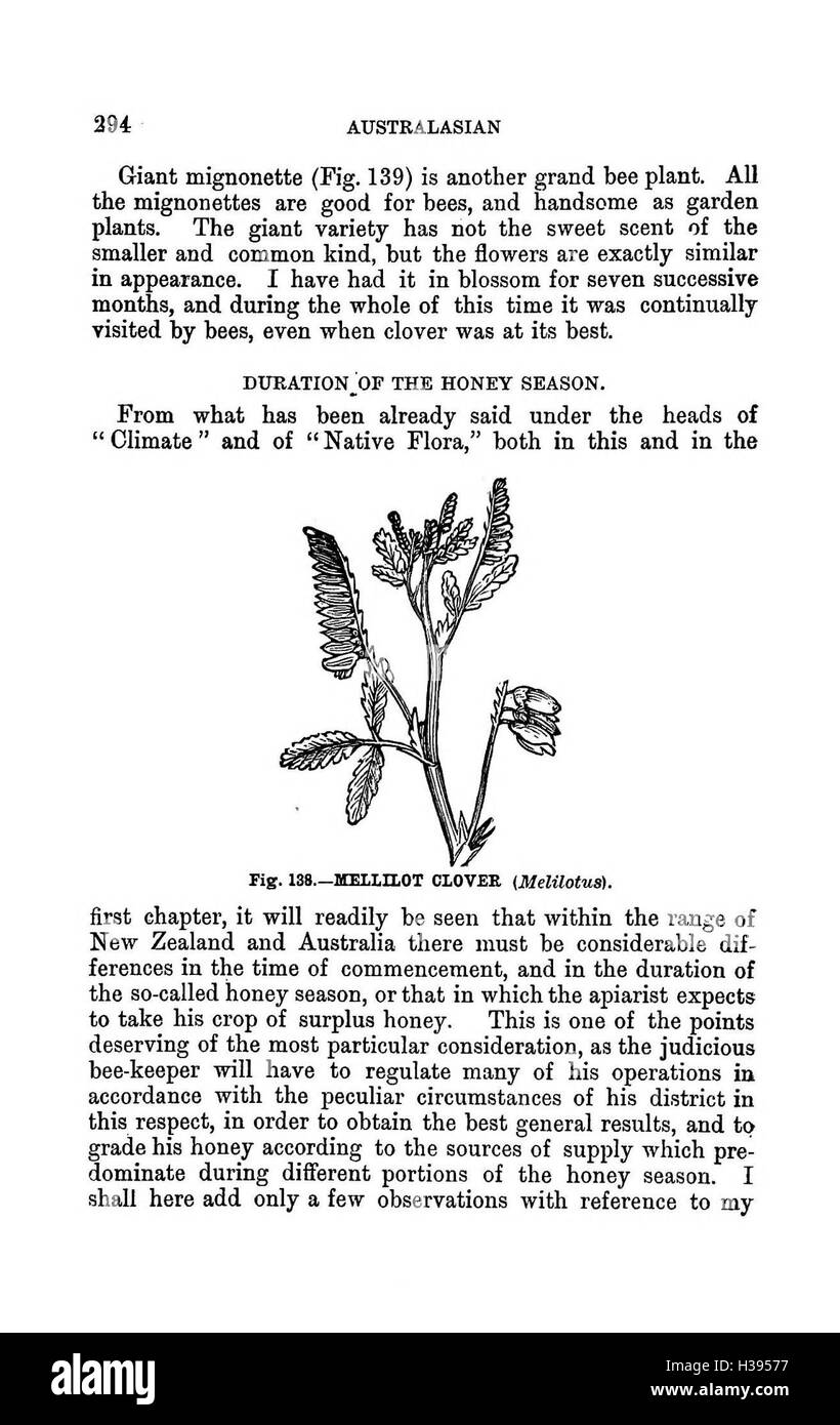 Beekeeping education Cut Out Stock Images & Pictures - Alamy