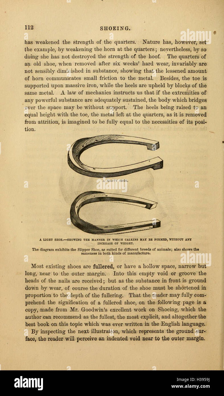 This guide offers visual instruction on proper horse management ...