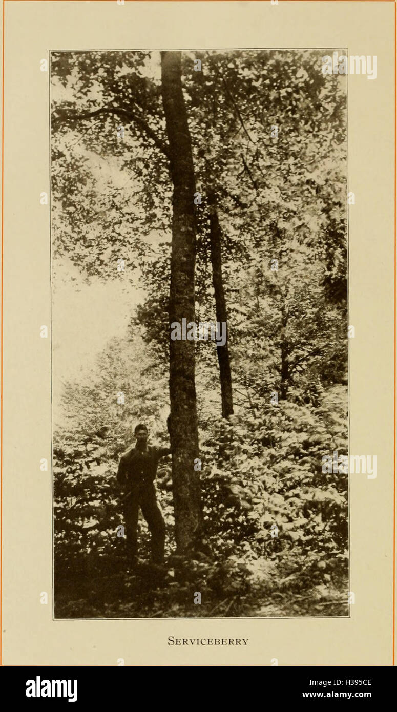 This work by Henry H. Gibson provides a comprehensive overview of ...