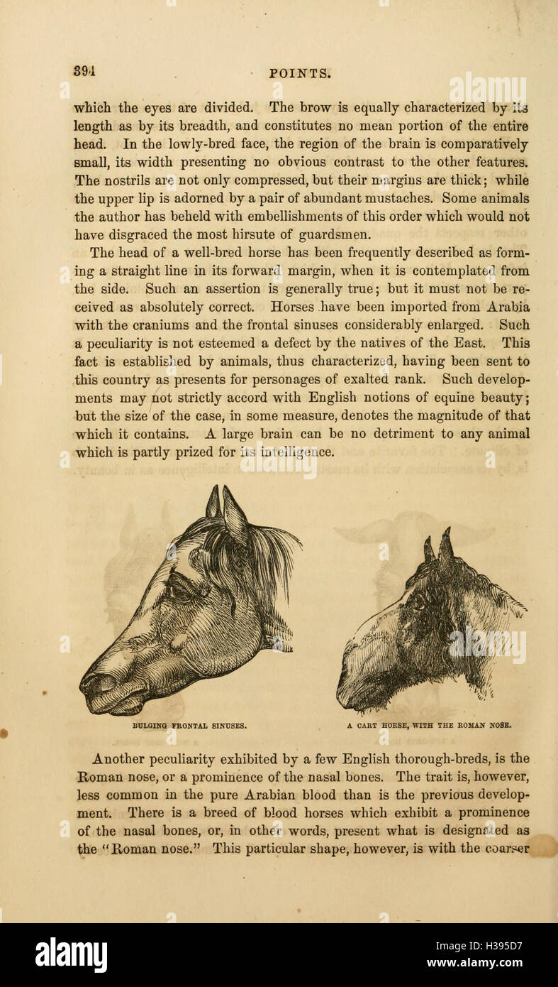 This book provides an illustrated guide to effective horse management ...
