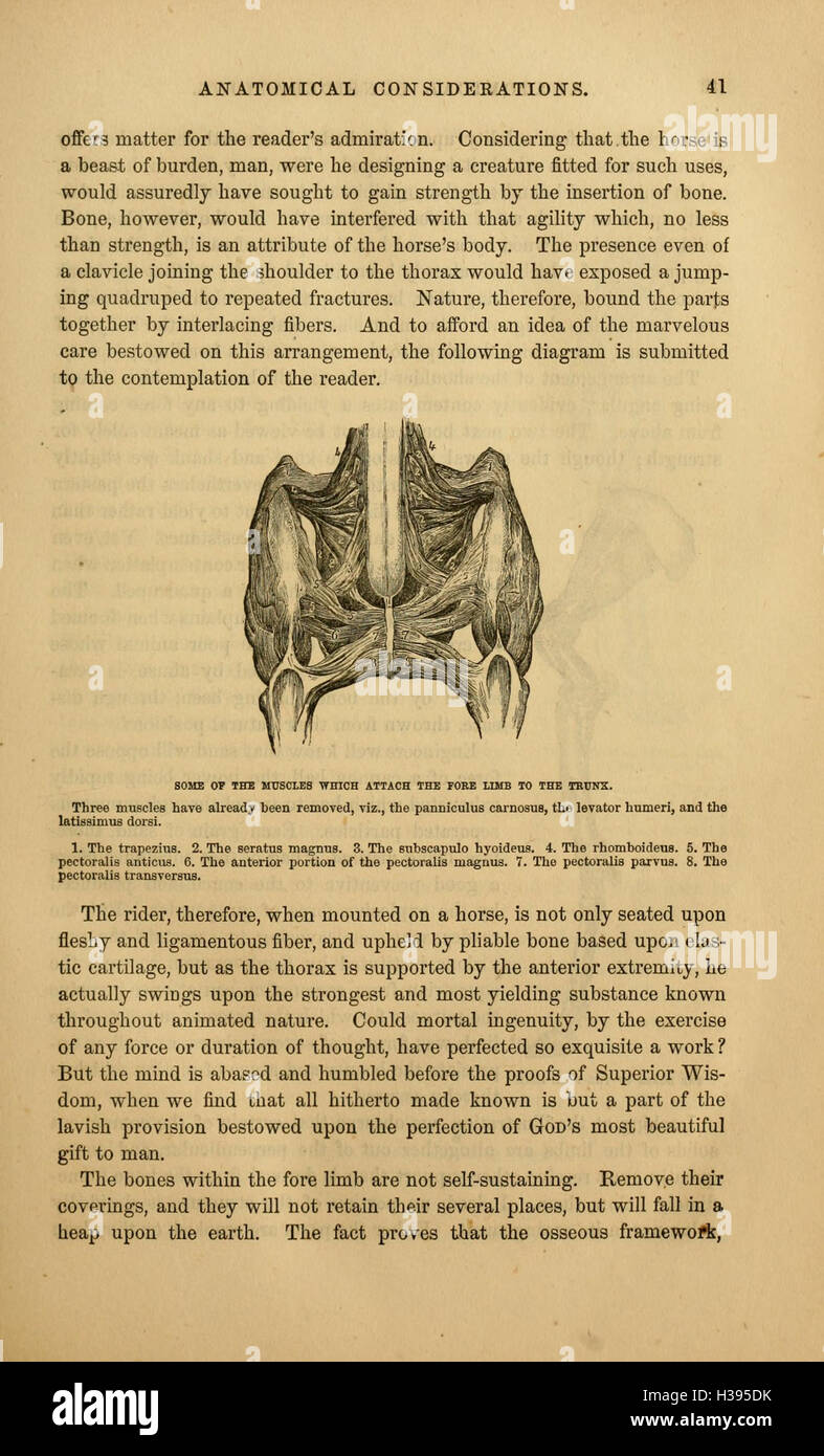 This illustrated guide provides visual instructions on horse management ...
