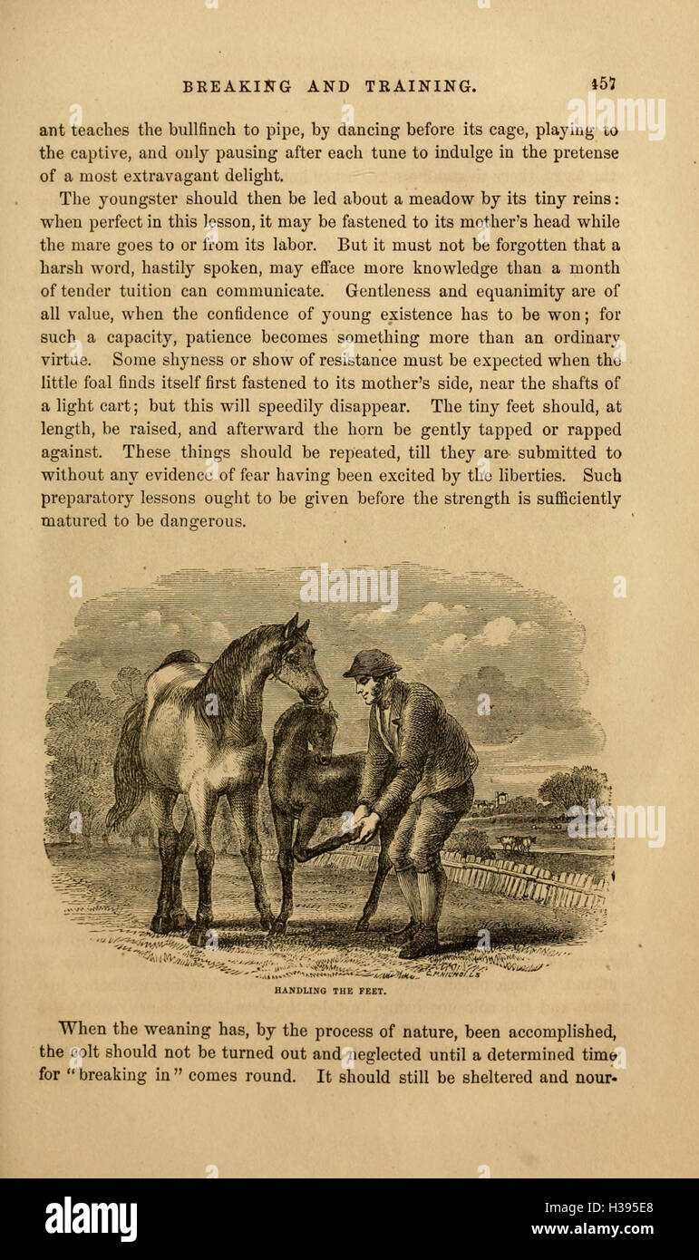 This illustrated guide provides insights into the principles and ...