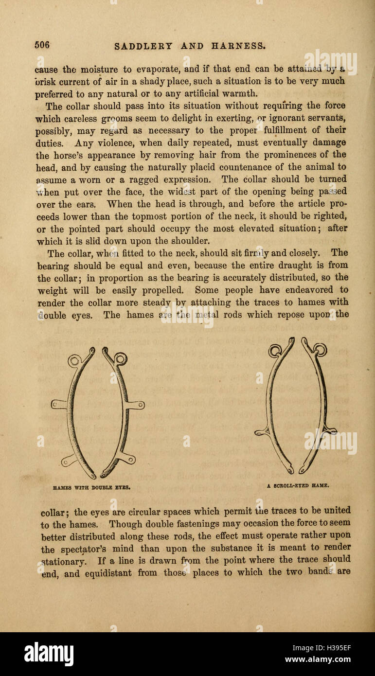 This page from 'The Illustrated Horse Management' offers practical ...
