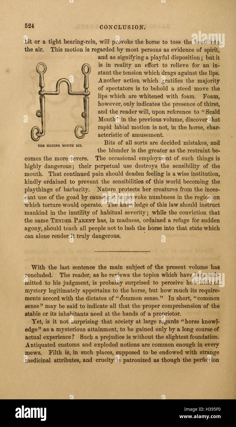 The illustrated horse management (Page 524) BHL211 Stock Photo - Alamy