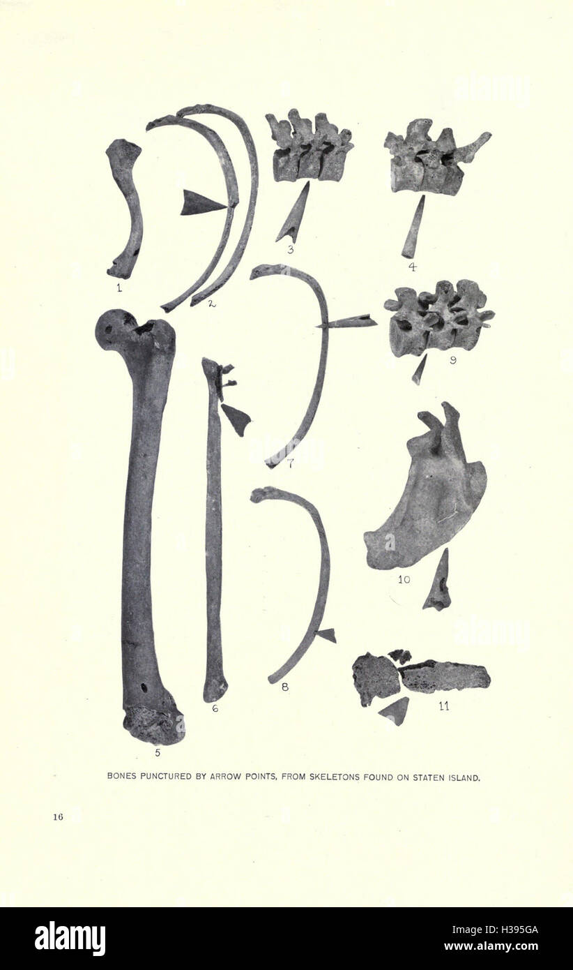 Colonial era native americans hi-res stock photography and images - Alamy